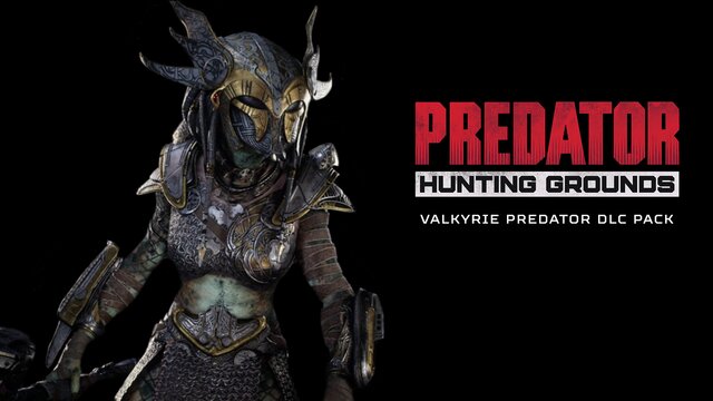 Predator: Hunting Grounds - Valkyrie Predator Pack купить со скидкой 39%